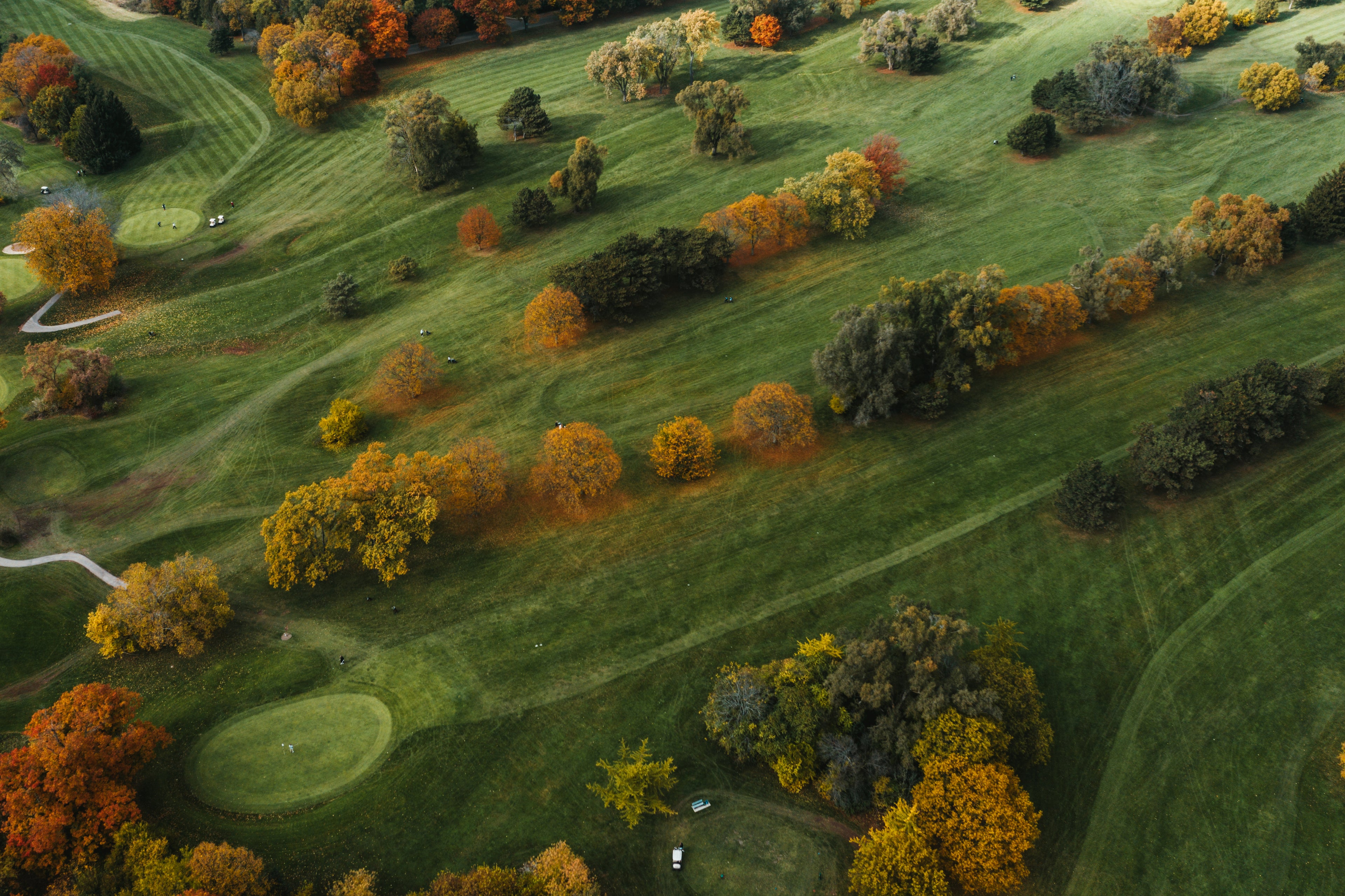 Welcome to Tribal Golf